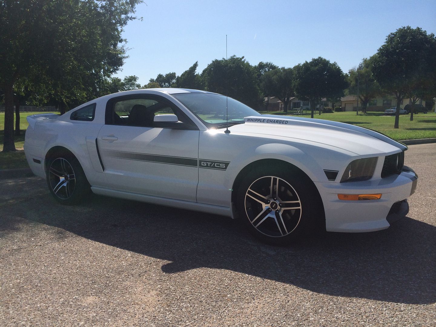 2009 GT/CS | Ford Mustang Forums
