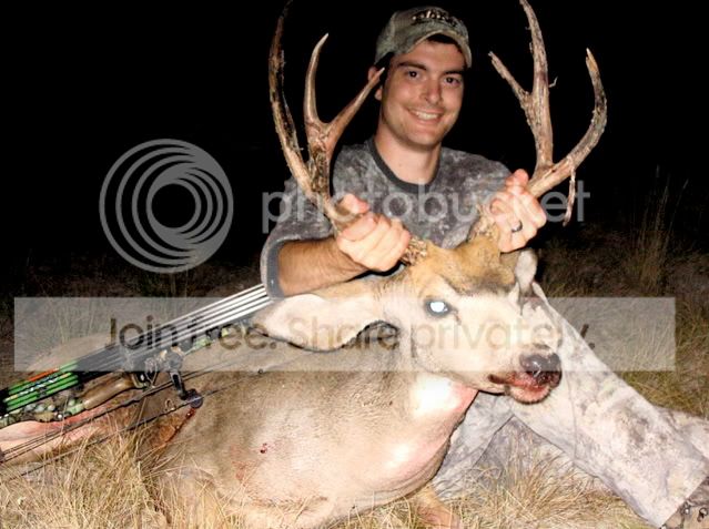 Saunders | Archery Talk Forum