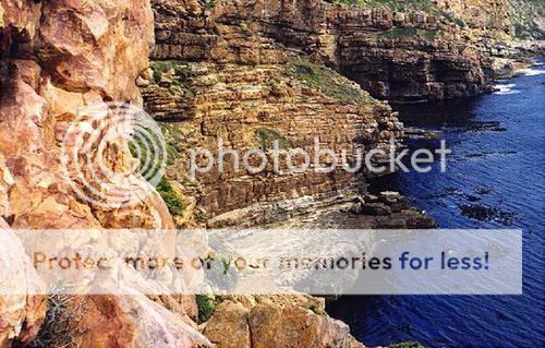 Rooikrans | SEALINE - South African Angling and Boating Community