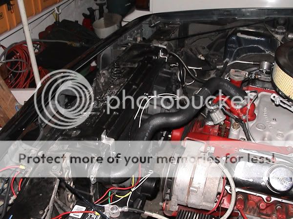 electric fan pics needed | GBodyForum - 1978-1988 GM A/G-Body Community