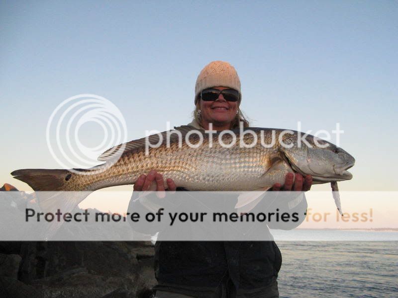 st andrews jetty redfish | Pensacola Fishing Forum